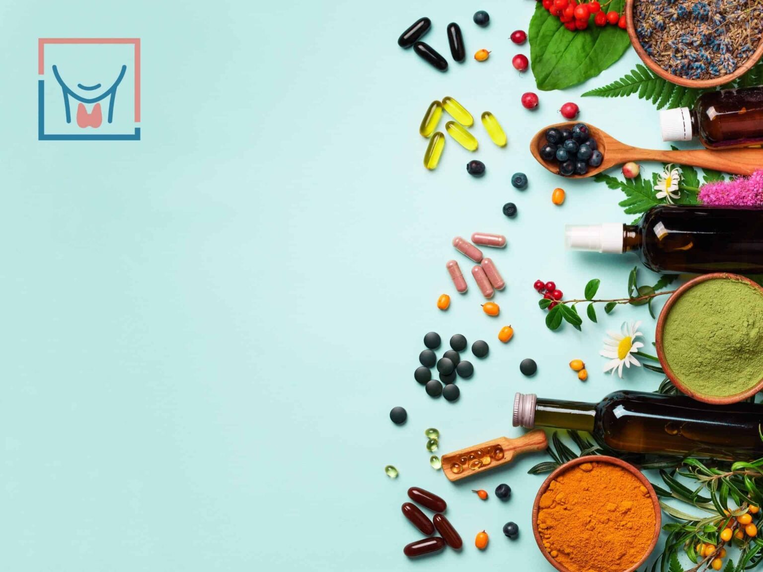 2023’s Best Thyroid Supplements for Hypothyroidism and Hyperthyroidism ...